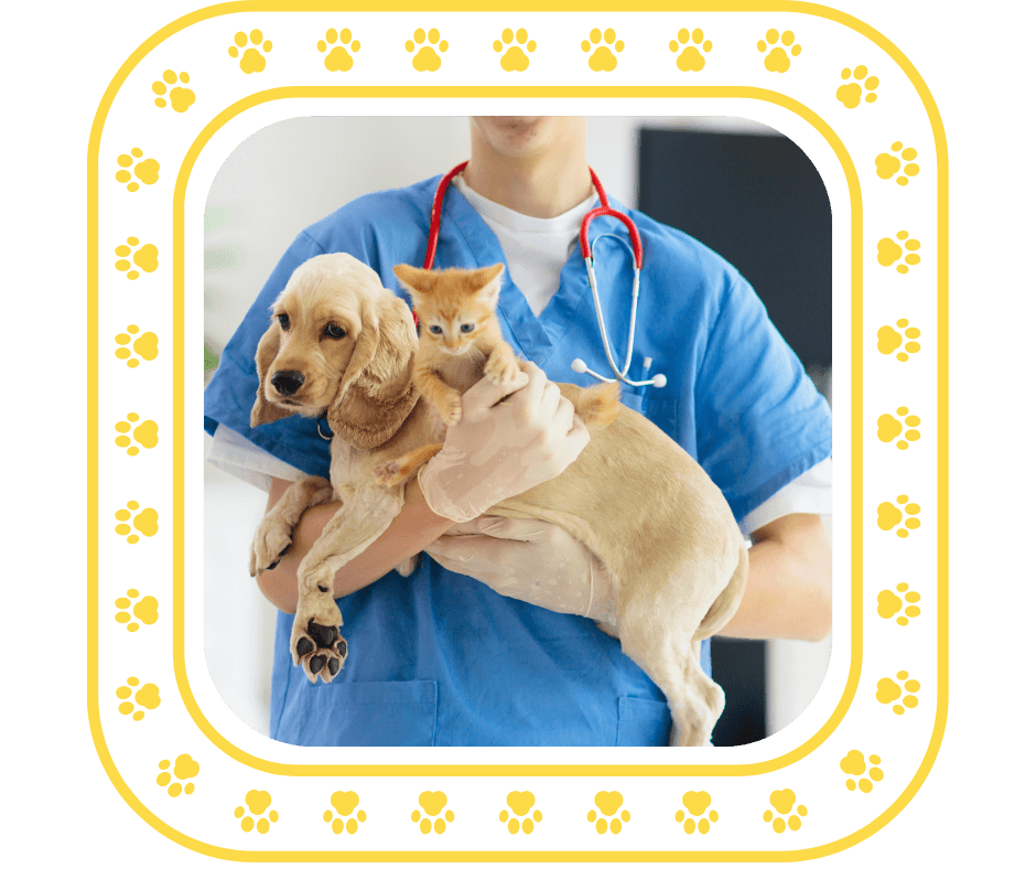 Our Services – Hope for Paws Foundation
